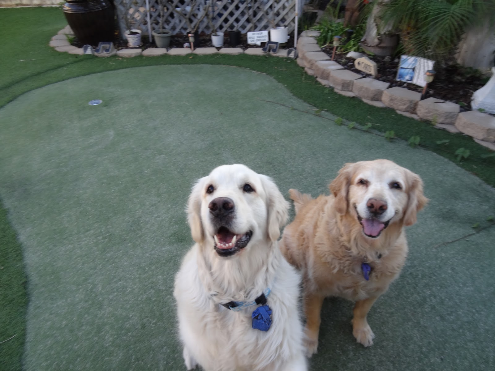 random ramblings: Hiddy-Ho Good Neighbor