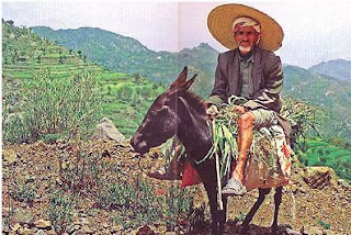 shaher abdulhak farook farouk: Farouk Abdulhak Shaher Abdulhak