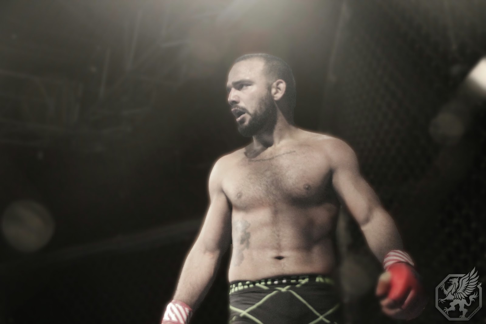 Long Island MMA and Fitness Center: Long Island MMA at NYFE 4
