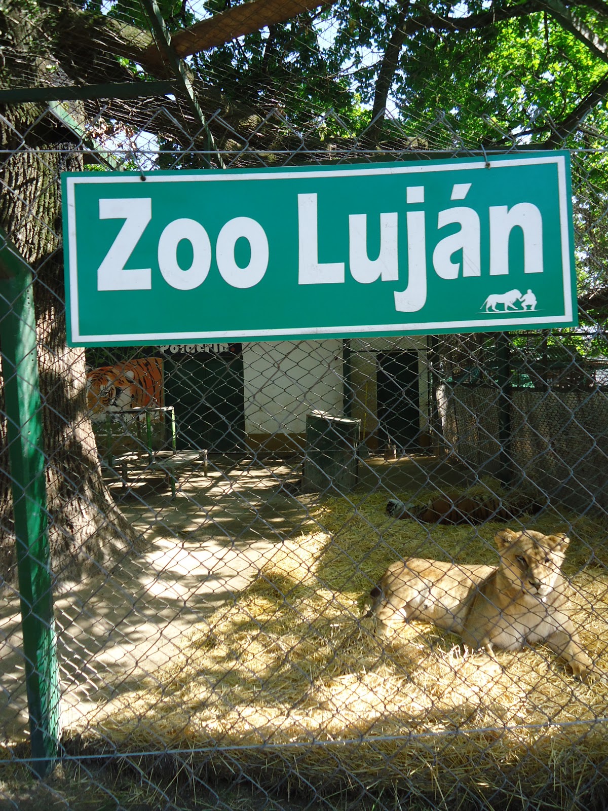 Pausa para Viajar: Zoológico de Luján