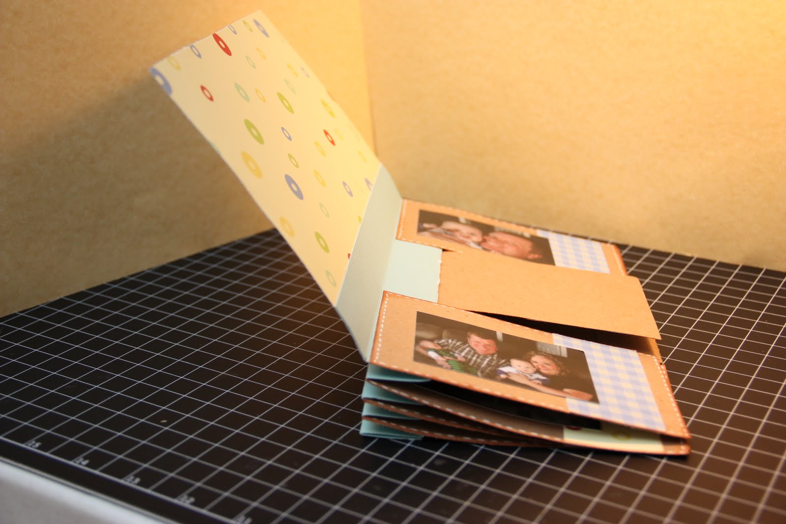 She's a Sassy Lady: A Photo Flip-Flap Album