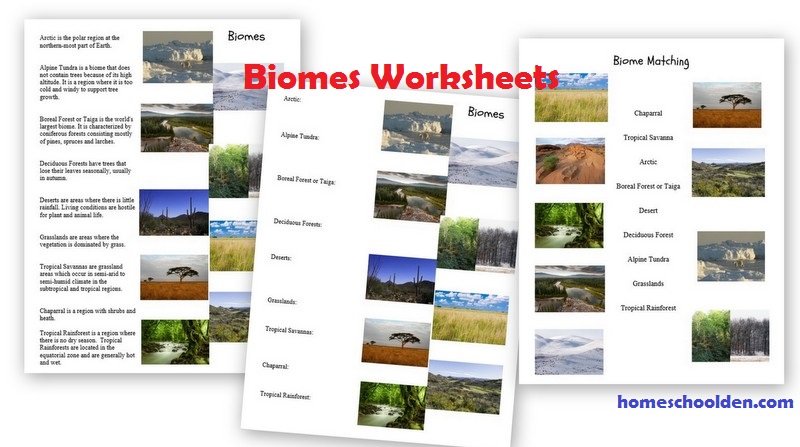 The Homeschool Den: Biomes Picture Pack
