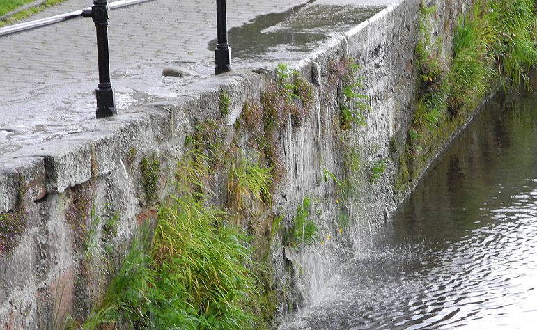 Simply Superb Swans: Riverside Pollution...Again !....UPDATE