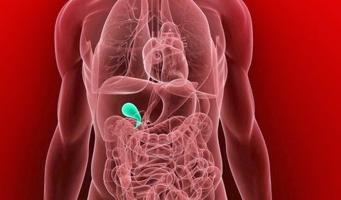 ŽLČNÍK podľa TČM ~ EZOCESTA