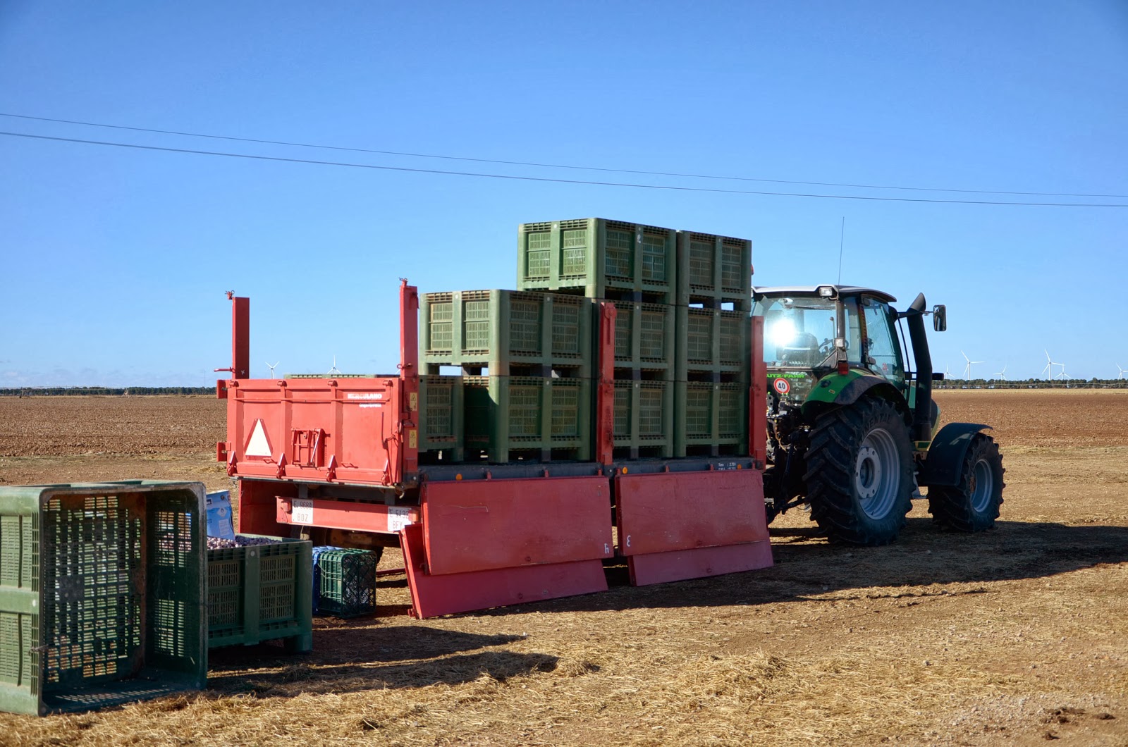 Garlic: Mechanical planter