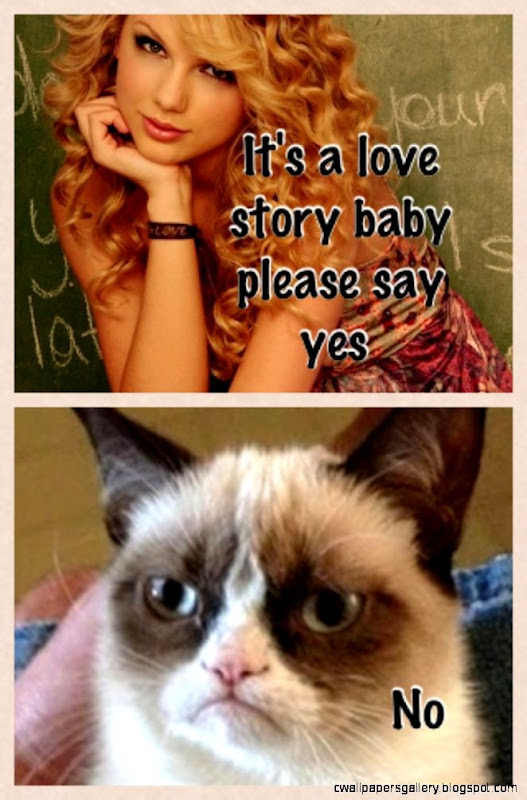 Grumpy Cat Meme Taylor Swift | Wallpapers Gallery