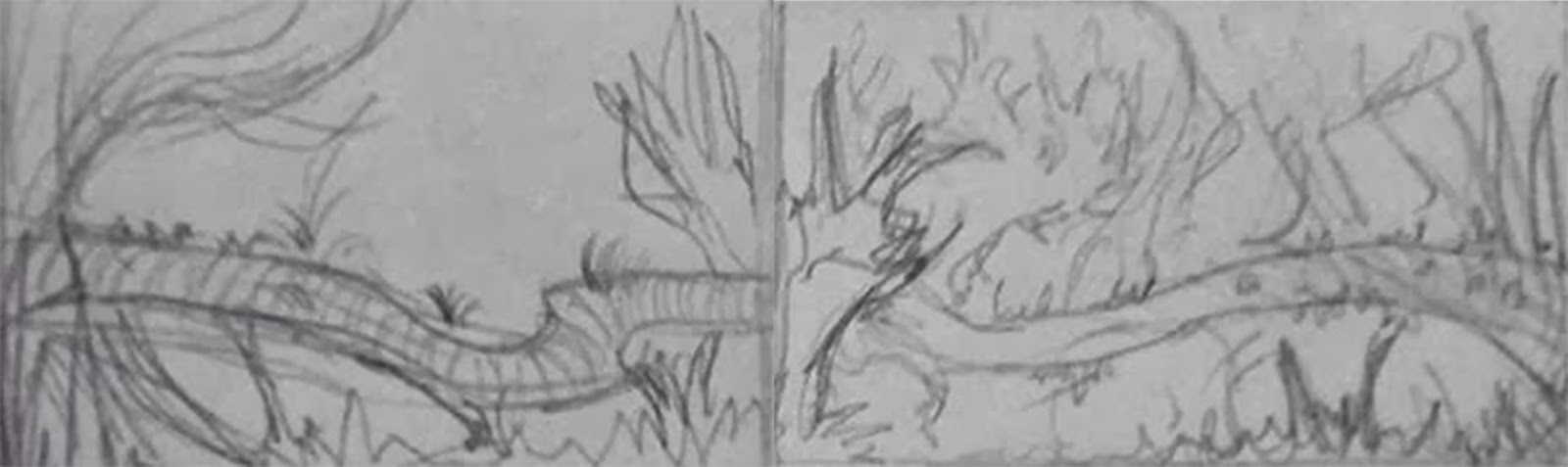 Heidi Grover: Cinematic Spaces: Combining 'Forest' Thumbnails