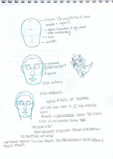 Facial Anatomy and Construction