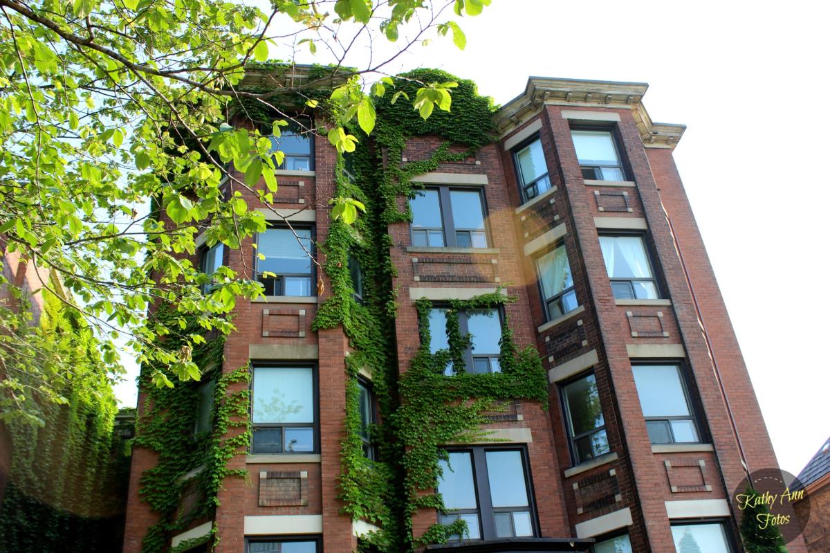 BEAUTIFUL BUILDINGS of Ontario: Historical Hamilton (14 Photos)