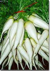 Mula chi Bhaaji | Radish(Mooli) Sabji |mulyachi bhaji | Annapurna