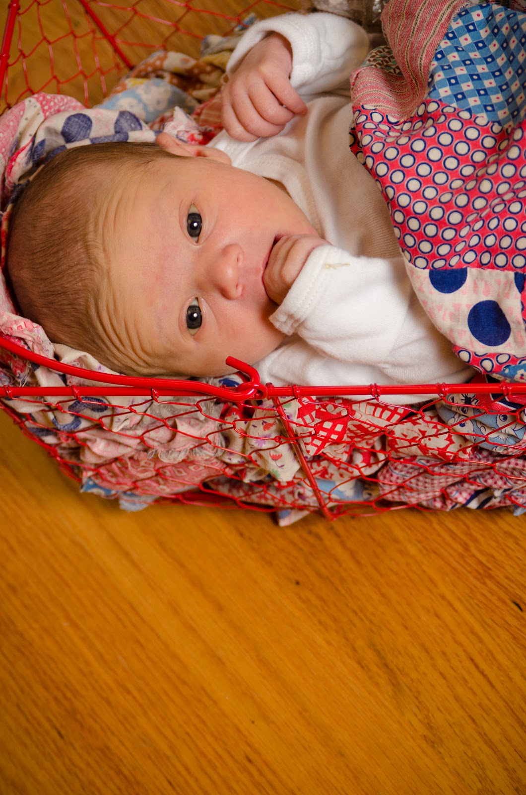 Landing Feet First Photography