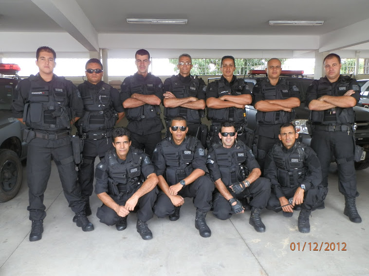 BLOG DO COMANDO DE OPERAÇÕES ESPECIAIS: HISTORICO COPE