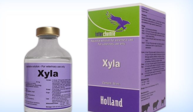 MANAJEMEN KESEHATAN TERNAK