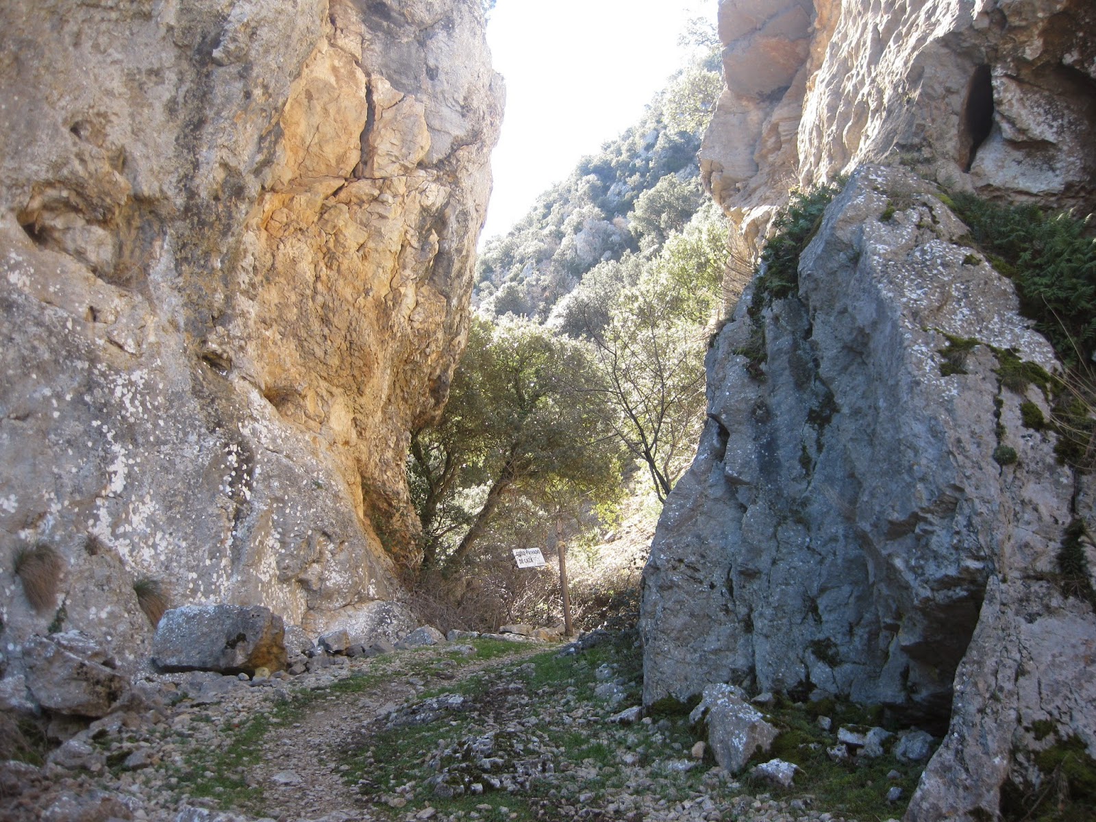 RUTAS DE VILDA: Ahedo de Butrón