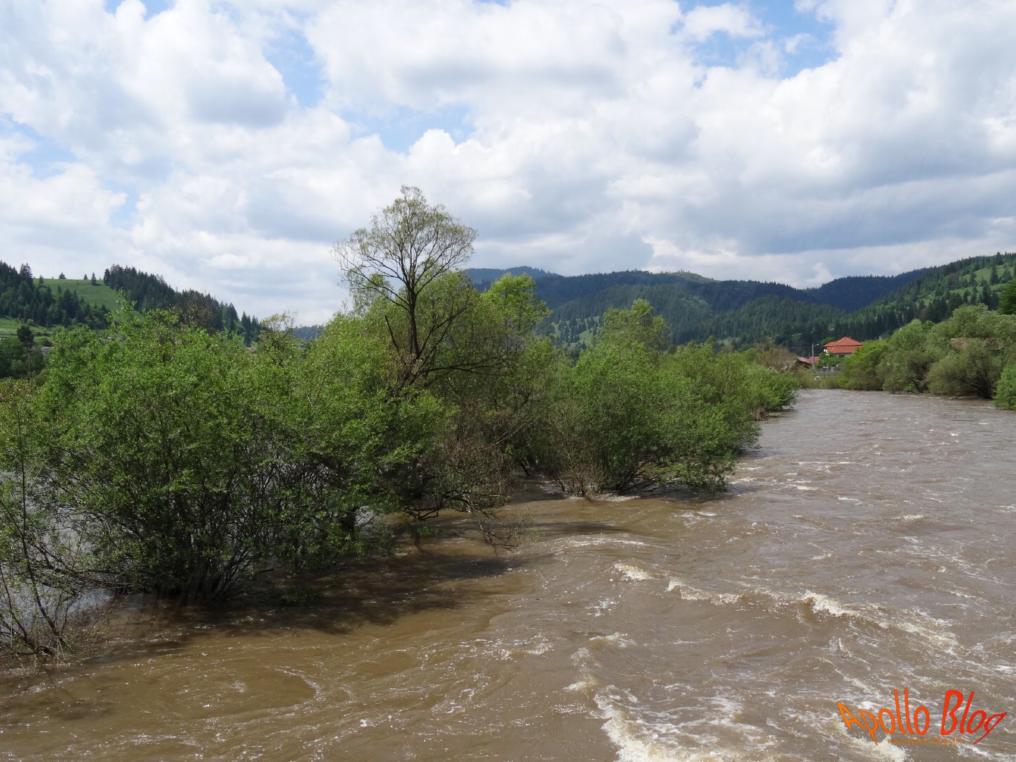 Apollo Blog: Inundatii pe Valea Muresului