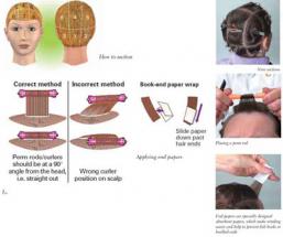 Permanente Afro (3) : Técnicas de colocación de Rulos según la Forma de ...
