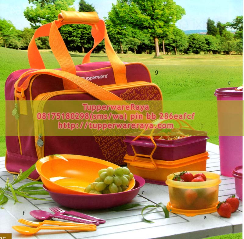 TUPPERWARE ONLINE RAYA: Katalog Tupperware Promo September 2013