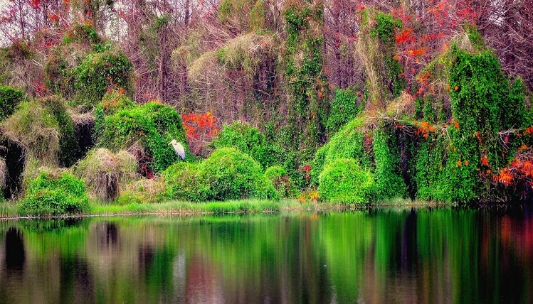 Jacksonville's Riverside Photography