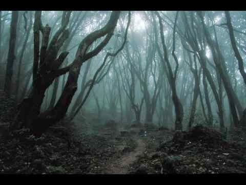 Young Goodman Brown: Introduction to Goodman Brown