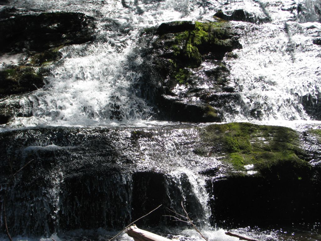 Blue Fish Lodge: Chattooga River, near Rock Gorge