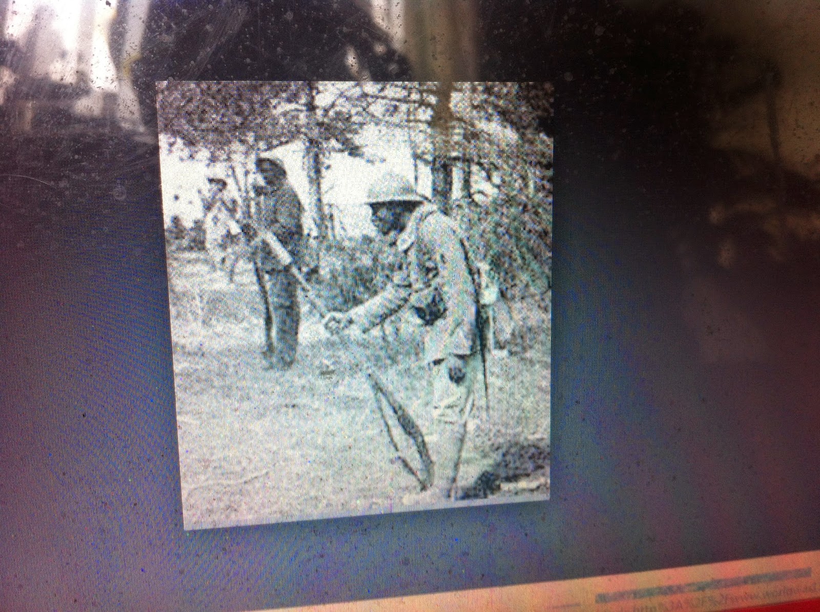 THE BLACK SOCIAL HISTORY:: BLACK SOCIAL HISTORY : 366th INFANTRY ...