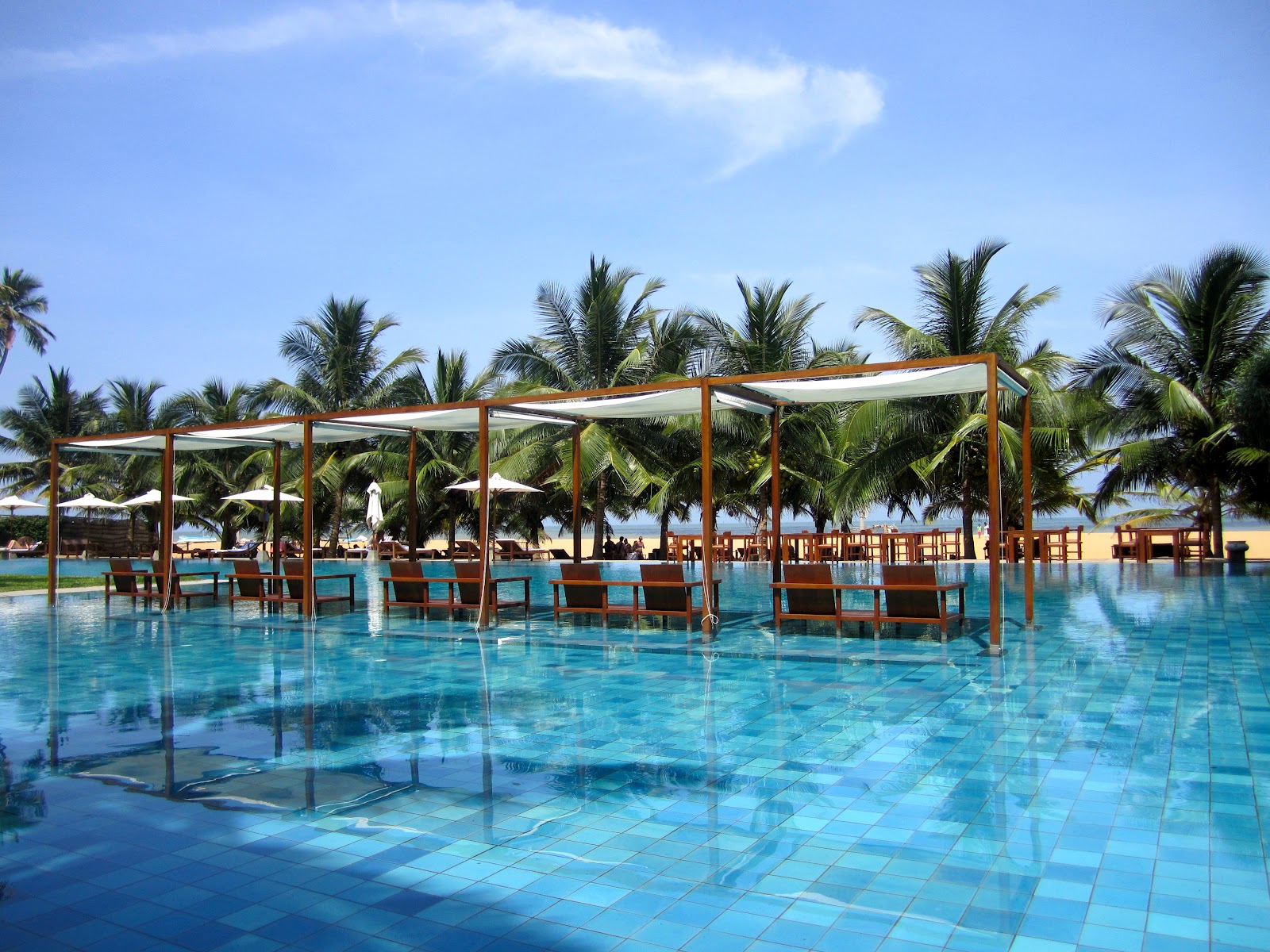 A Sakura Story: Sri Lanka - Negombo