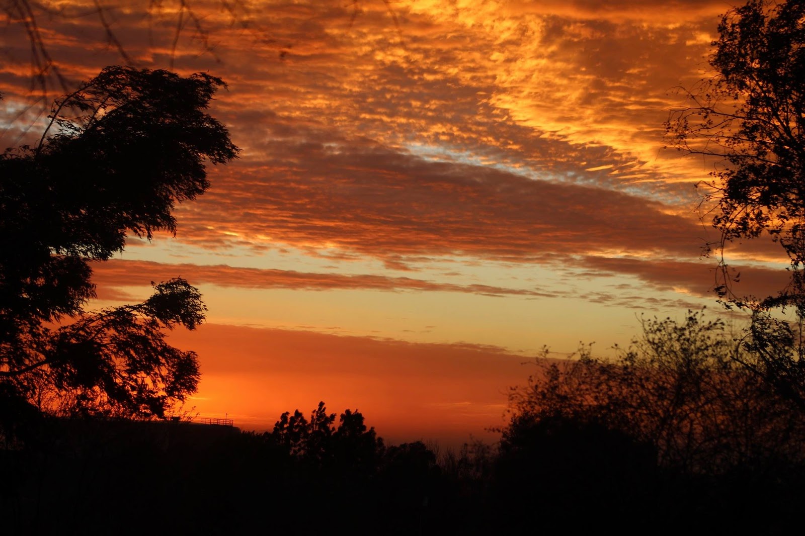 Bakersfield Observed: Some random Facebook pictures of our world ...