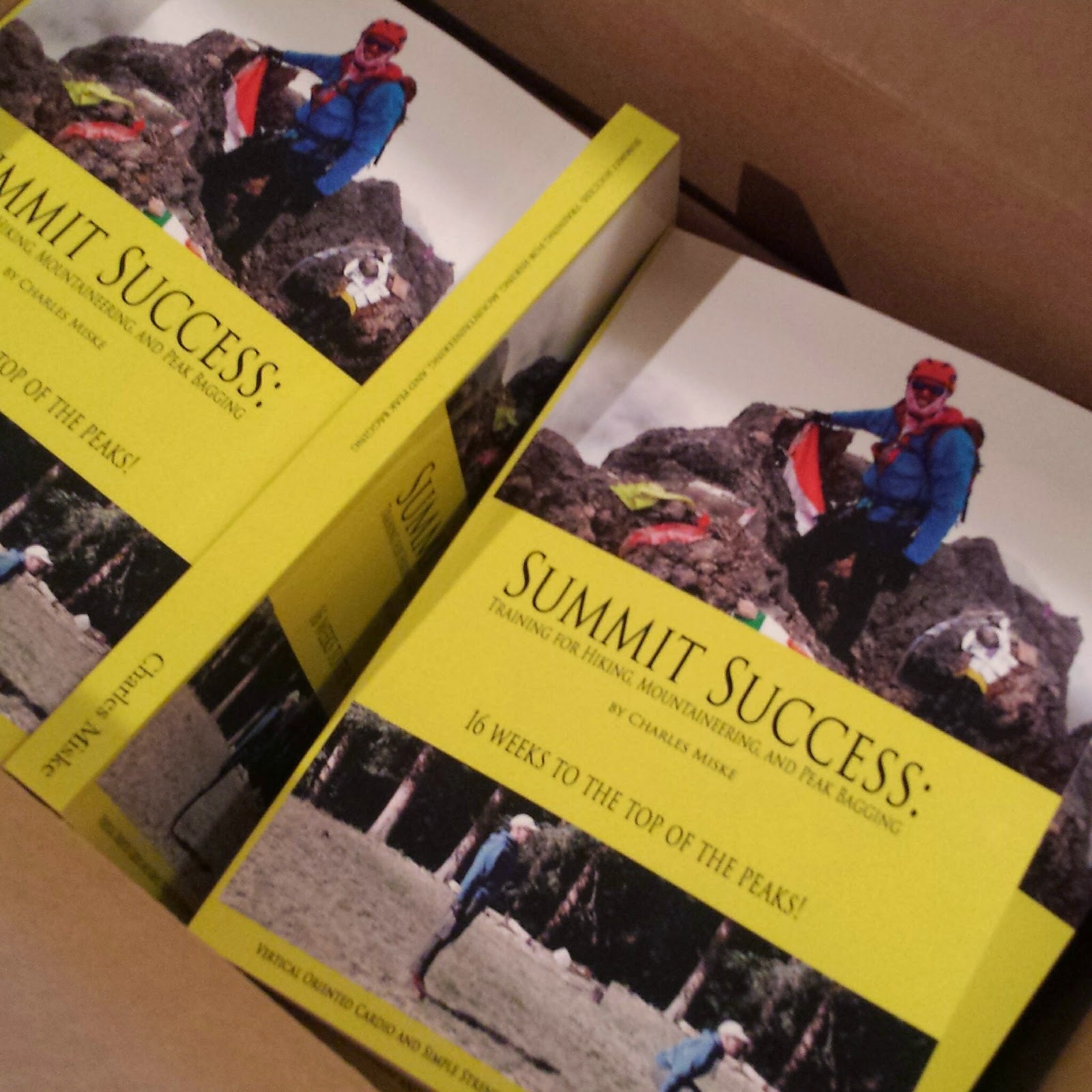 Summit Success Training Manual - Kindle or Paperback?