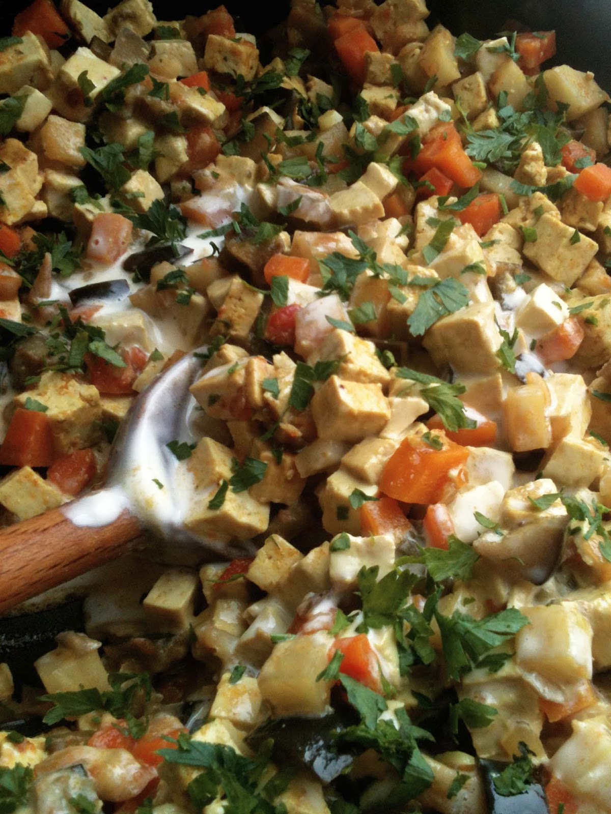 Bio qu'c'est bon!: Petits cubes de tofu et de légumes à la crème