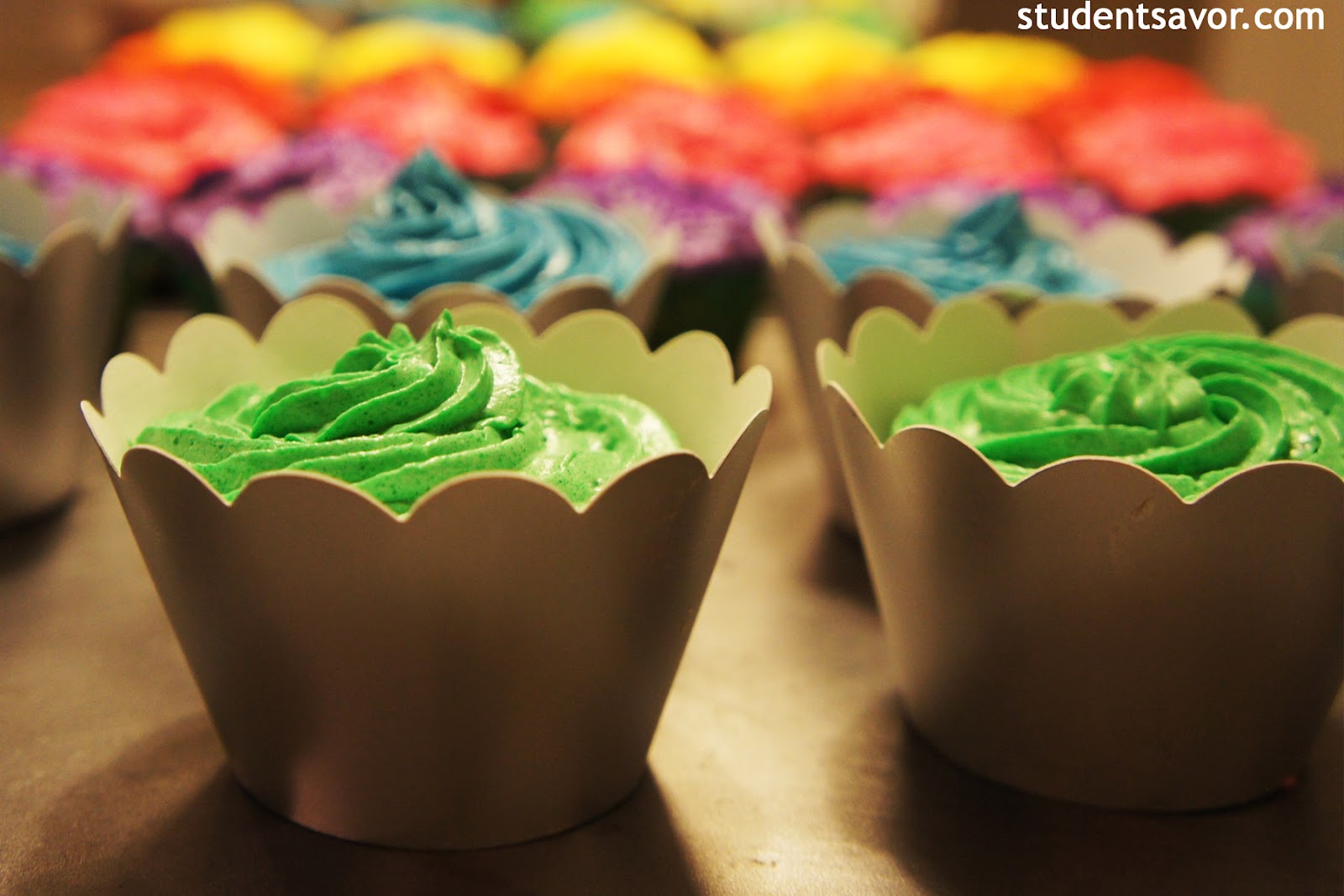 STUDENT SAVOR: 48 Cupcakes & My Summer