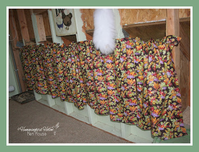 Hummingbird Hollow Hen House: Nest Box Curtains