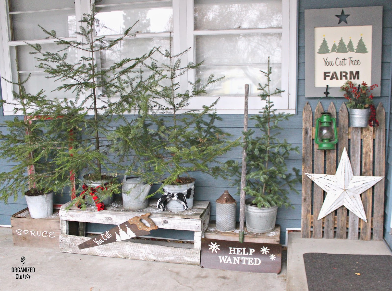 A YOU CUT Tree Farm Christmas Covered Patio - Organized Clutter