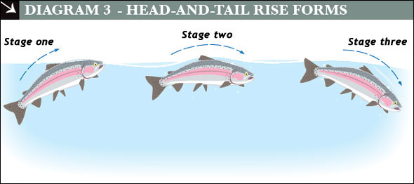 Try A Traditional Imitative Approach