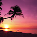 예스카지노 【https://custory.com/yes/】 YES카지노 오바마카지노 33카지노