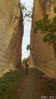 Pasea Menorca: Sa Pedrera de Santa Ponça