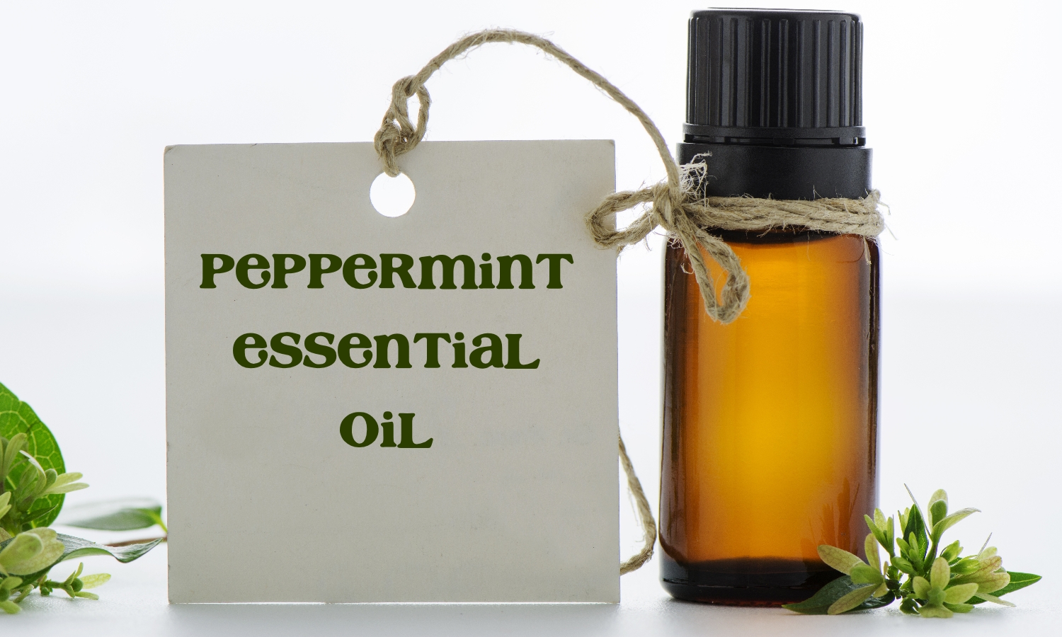 DIY Cooling Peppermint Foot Soak