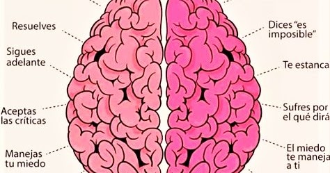 PSICOLOGOS PERU: DÍA 353: MENTE ABIERTA VERSUS MENTE CERRADA