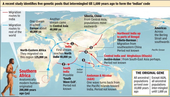Twenty22-India on the move: The Indian Gene Code
