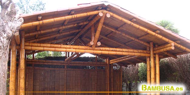 GUADUA ANGUSTIFOLIA (CASAS GUADUA): CAÑA, CASAS, Y GUADUA.