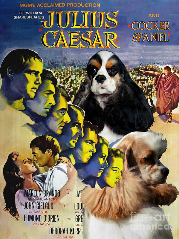 NUNCAJAMAS COCKER: PERROS, CINE Y SANDRA SIJ; 2ª PARTE