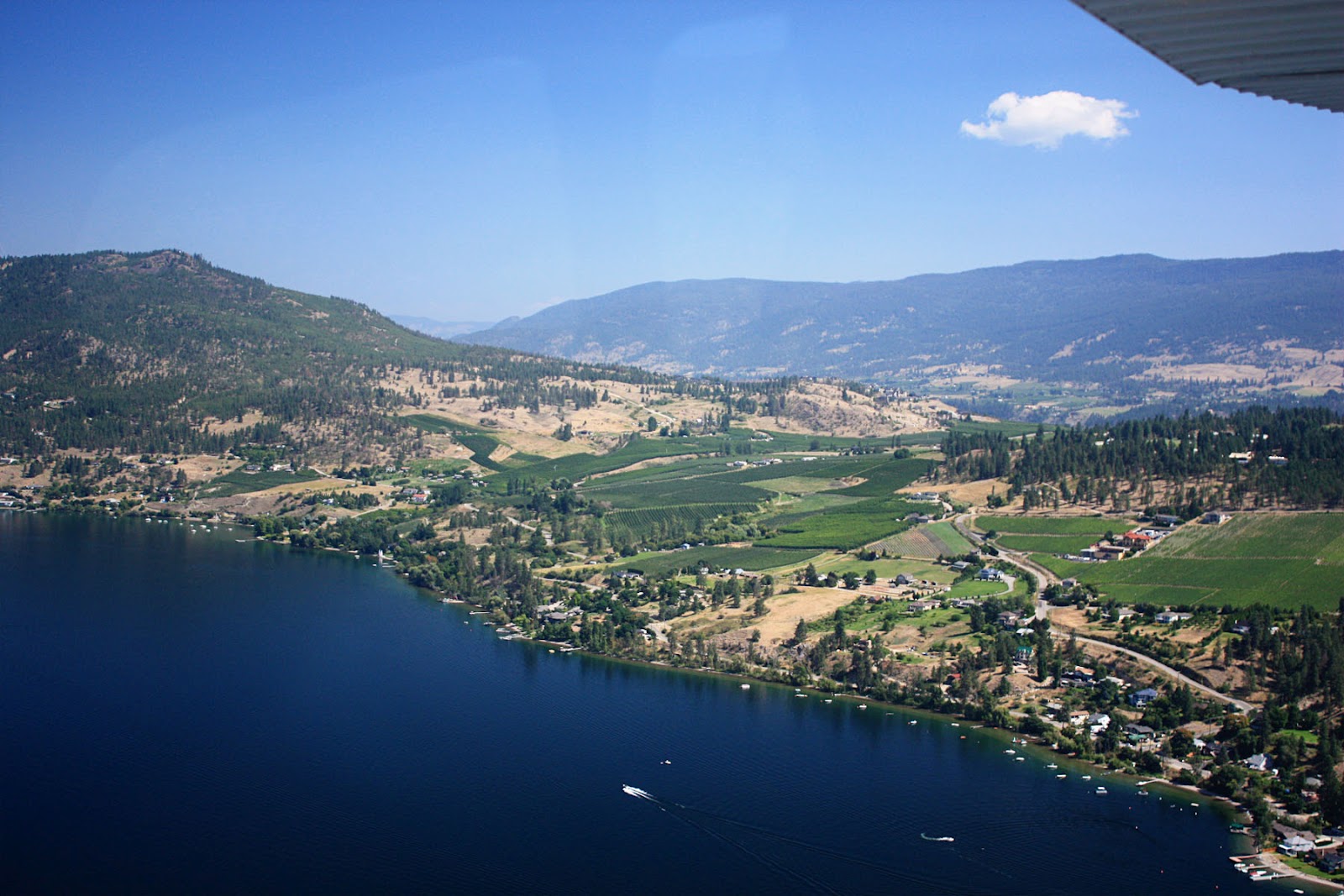 What happened next...: A Birds Eye view!