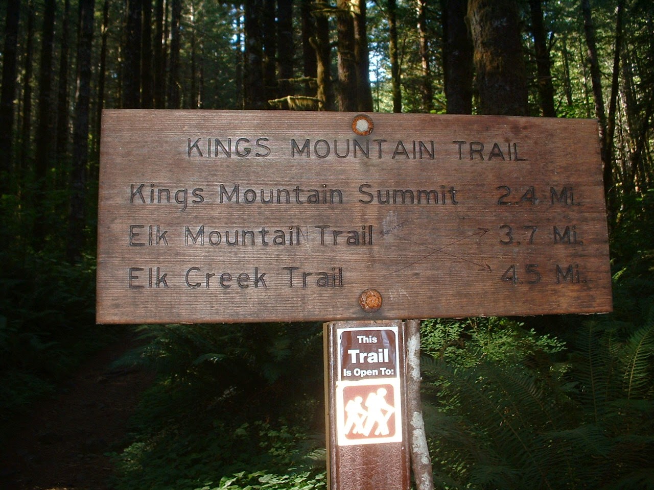 Best Handcrafted & Outdoor Newsletter: Kings Mountain Trail, Tillamook ...