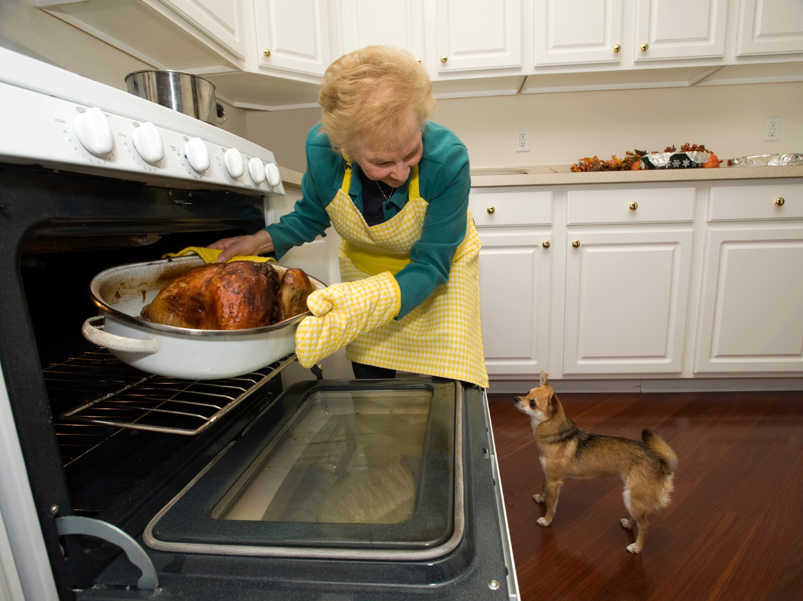 Bregman Veterinary Group: Can Your Pet Indulge in Thanksgiving Food Scraps?