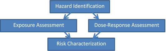 Bad Stuff in Food: Risk Analysis and Political Commentary: The Risk ...
