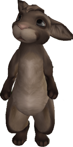 Meeroos! | Wilma Philbin's blog