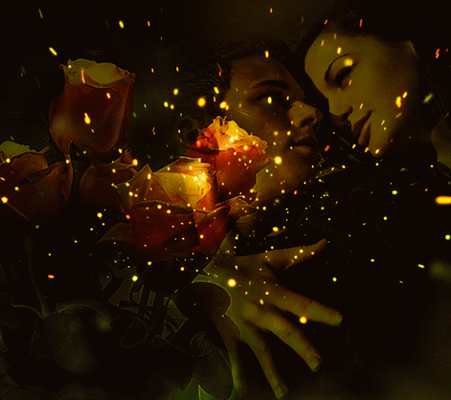 FOTOIMAGENES_sinPALABRAS: 10 DE LOS MEJORES GIFS DEL MUNDO