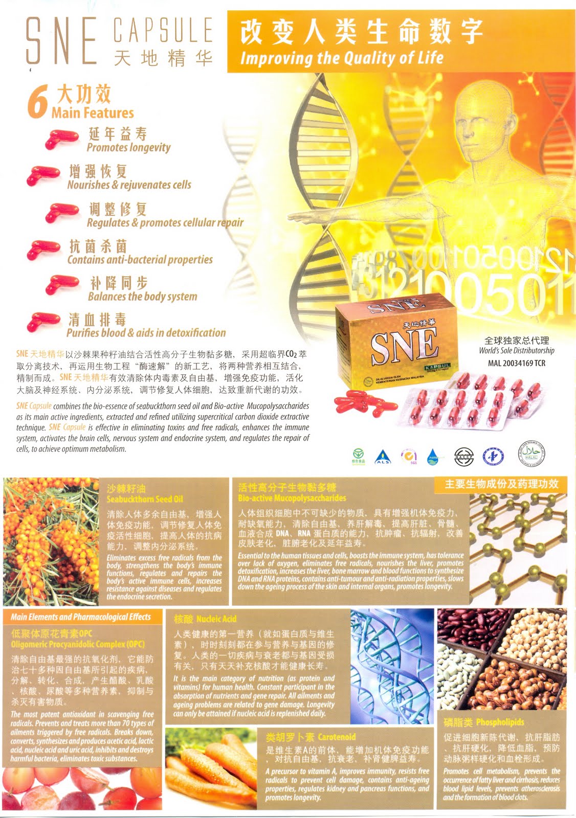 Zatie Beauty Malaysia: SNE Capsule "ubat segala penyakit"