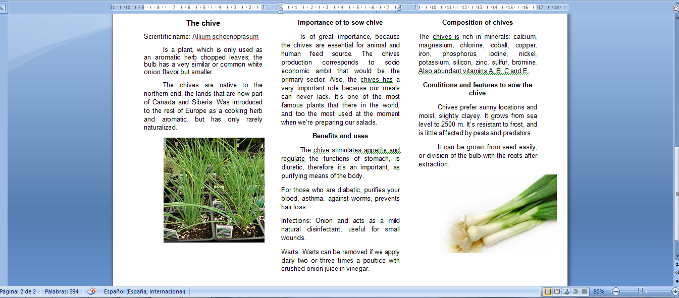 Proyecto de Siembra del Fe y Alegría: SIEMBRA DEL CEBOLLIN