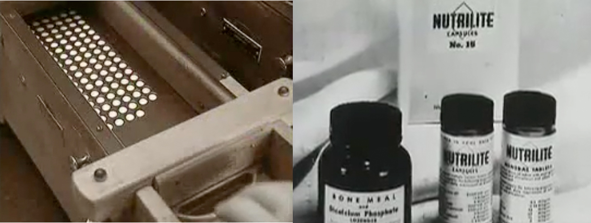 MaxVitae: Carl Rehnborg: el principio de Nutrilite