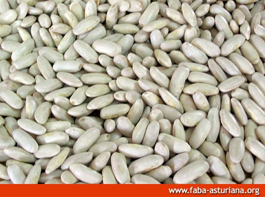 LA MUY DIGNA: FABES DE LA GRANJA